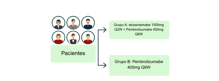 Carcinoma espinocelular recorrente ou metastático PD-L1+ de cabeça e ...